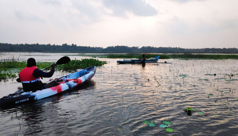 Kayaking in Backwaters - Pondicherry Beach Escapes